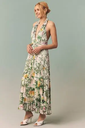 Bhldn Printed Halter Maxi Dress
