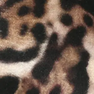 Amina Muaddi Satin Leopard Print Lupita Mules - Brown