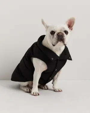Quince Waterproof Dog Puffer Jacket
