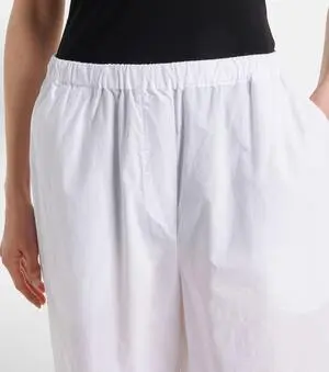 Velvet By Graham & Spencer Tomoko Cotton Poplin Shorts