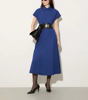 Max & Co. Cotton Shirt Midi Dress