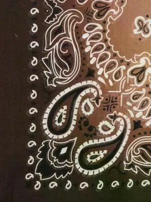 Destin Bandana-print Scarf