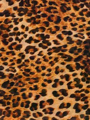 Destin Leopard-print Scarf