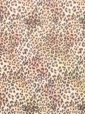 Destin Leopard-print Scarf