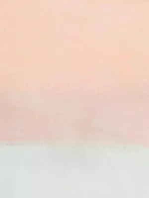 D'ANIELLO Fringed Ombré-effect Scarf - Pink