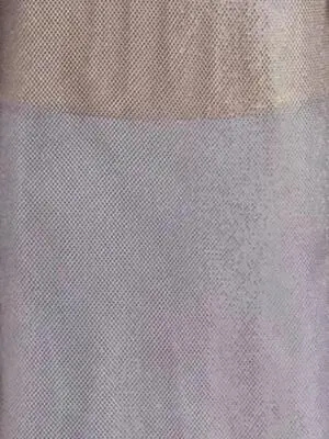 Alberta Ferretti Long-sleeve Sheer Dress