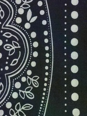 Max Mara Educated Fringed Patterned Scarf