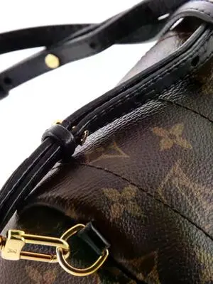 LOUIS VUITTON Palm Springs Monogram Canvas Mini Backpack - Brown