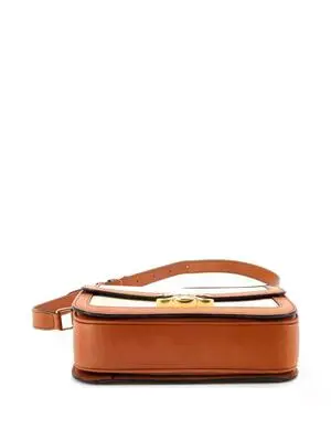 Celine Triomphe Medium Shoulder Bag - Neutrals