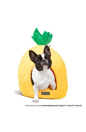 NANDOG PET GEAR Fun Collection Dog And Cat Bedpineapple Prive