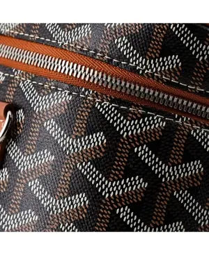 Goyard Muse Vanity Case Coated Canvas