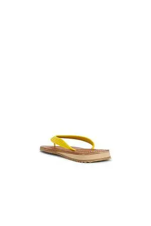 Miu Miu Infradito Sandal