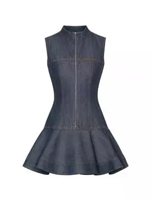 Alexis Taylin Mini Dress
