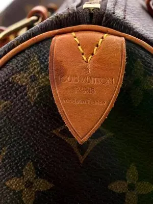 LOUIS VUITTON Speedy Handbag Monogram Canvas 25