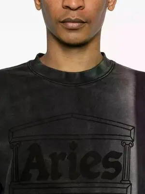 Aries Sunbleached Column Sweatshirt - Black