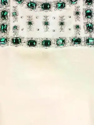 Miu Miu Embroidered Mini Dress