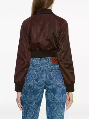 Etro Cropped Zip-up Sweatshirt With Contrasting Bands - Brown