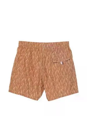Canali Leaf-print Swim Shorts - Brown
