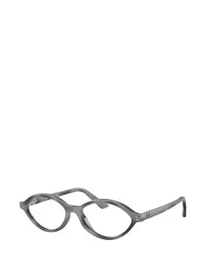 Ray-ban Oval-frame Glasses