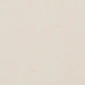 THE ROW Pacey Cotton Sweatshirt - Ivory