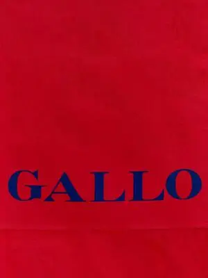 GALLO Terry Logo Beach Towel