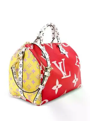 LOUIS VUITTON Speedy Bandouliere 30 Satchel