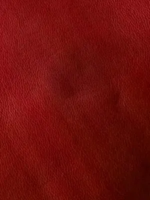 Celine Trio Small Crossbody Bag