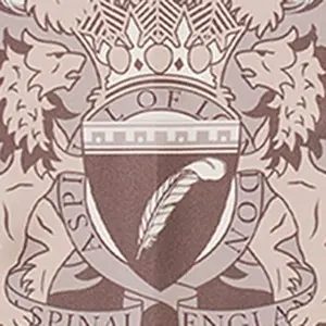 ASPINAL OF LONDON Silk Signature Scarf - Neutral