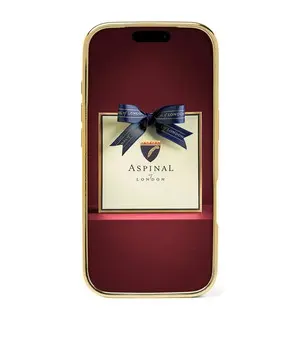 ASPINAL OF LONDON Leather Iphone 17 Pro Case - Red