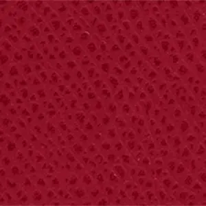 ASPINAL OF LONDON Leather Iphone 17 Pro Case - Red