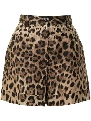 Dolce & Gabbana Leopard Print Poplin Shorts - Brown