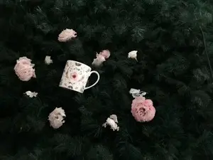 Twig New York Scandinavian Floral Set Of Two Mugs