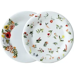 TWIG NEW YORK Language Of Flowers Set Of Two Salad Plates - Multi