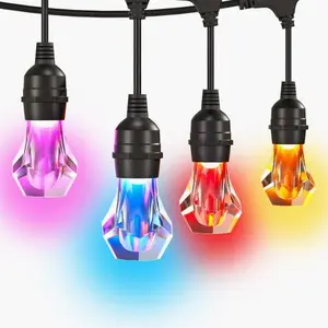 NANOLEAF Matter Smart Outdoor String Lights Smarter Kit 98ft - Multicolor