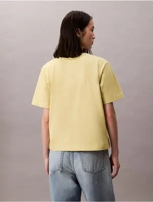 Calvin Klein Standard Logo Boxy Fit Crewneck T-shirt