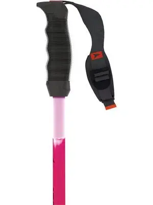 ATOMIC Ski Poles