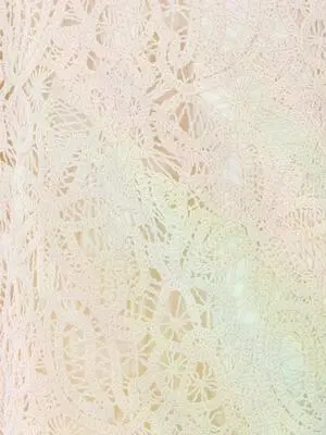 Liu Jo Embroidered Mini Dress