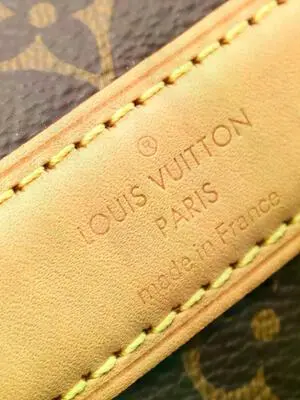 LOUIS VUITTON 2021 Monogram Sac Chien 50