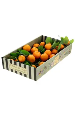 MARK ROBERTS Spray - Orange
