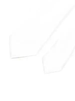Zegna Silk Neck Tie - Neutrals