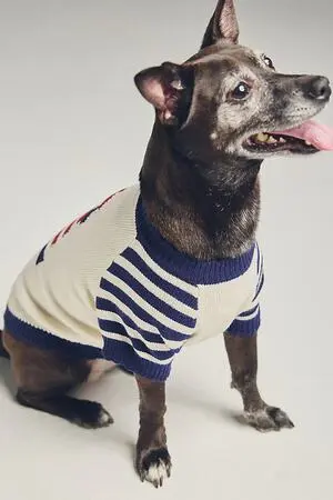 Anthropologie Lighthouse Pet Sweater