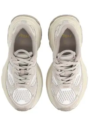 Ash Dragon Sneakers - Beige