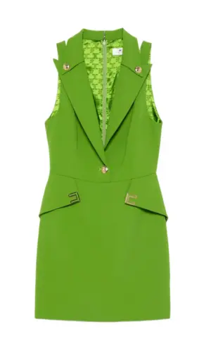 Elisabetta Franchi Stretch Crepe Mini Dress