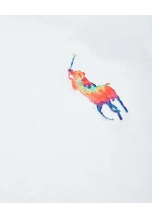 Polo Ralph Lauren T-shirt With Logo