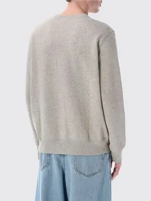 Polo Ralph Lauren Crewneck Sweatshirt With Graphic