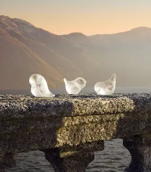 Lalique Piou-piou Wing Up Sculpture