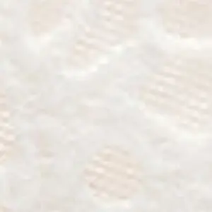 MALONE SOULIERS Broderie And Mesh Maureen 85 Heeled Mules