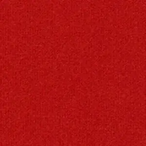 Loewe Sleeveless Rollneck Top - Red