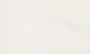 LIVERPOOL Cotton Drawstring Shorts - Parchment