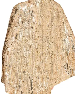 Jenny Packham Embellished Sequined Cape And Maxi Dress - Illusion